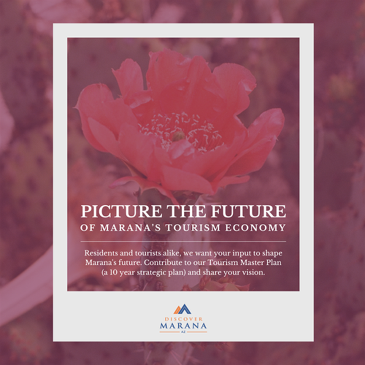Shape Marana's future: Take our tourism survey! - Town of Marana, AZ