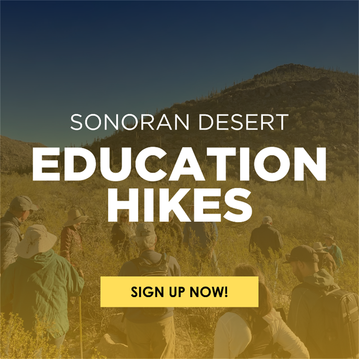Sonoran Desert Educational Hikes - Town of Marana, AZ